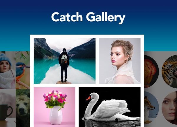 Catch Gallery - A Free Gallery WordPress Plugin - Catch Plugins