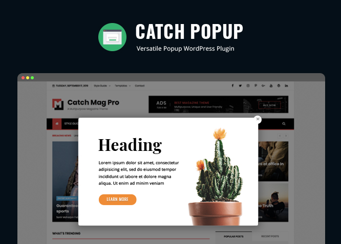Simple, Securely Coded and Regularly Updated WordPress Plugin - Catch Plugins
