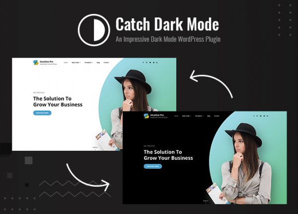 Simple, Securely Coded and Regularly Updated WordPress Plugin - Catch Plugins